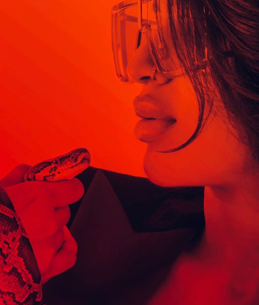 PREMIERE: Lady Tazz & Gotshell - Serpent Kiss